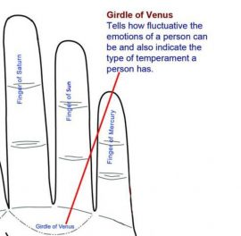 Thumb Position & Shape – Astrogurukul